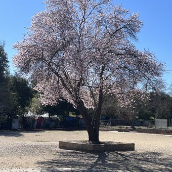 SELMA OLINDER PARK - Updated January 2026 - 45 Photos & 15 Reviews ...