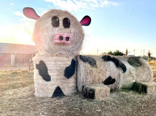 7TH GENERATION FARM - Updated December 2025 - 20 Photos & 23 Reviews ...