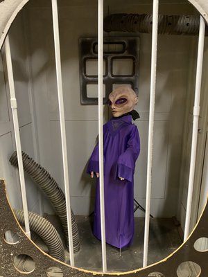 THE ALIEN ZONE - 183 Photos & 92 Reviews - 216 N Main St, Roswell, New ...