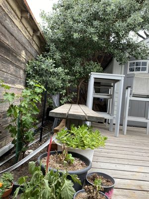 MONARCH MOON SPA - Updated December 2025 - 38 Reviews - 330 Morro Bay ...