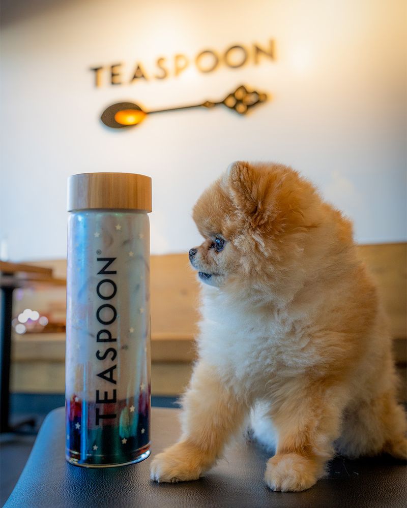 TEASPOON - Updated August 2025 - 167 Photos & 79 Reviews - 1550 N Green ...