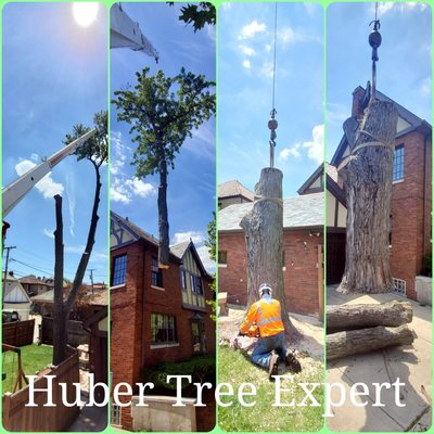 HUBER TREE EXPERT - Updated May 2024 - 96 Photos & 16 Reviews - 1622 S ...