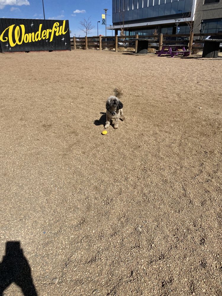 BELLEVIEW STATION DOG PARK - Updated September 2025 - 16 Reviews - 4825 ...