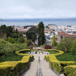 LYON STREET STEPS - 583 Photos & 345 Reviews - Lyon Street & Green St ...