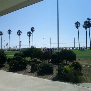 DEL REY LAGOON - 114 Photos & 46 Reviews - 6660 Esplanade Pl, Playa Del ...