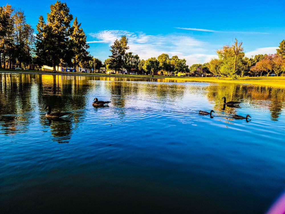 HEARTWELL PARK 【157 Photos & 61 Reviews】 4055 North Bellflower Blvd ...