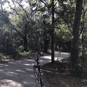 CADY WAY TRAIL - 40 Photos & 28 Reviews - Orlando, FL - Yelp