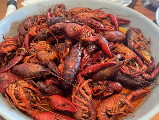 ROCKFISH SEAFOOD GRILL - Updated May 2025 - 184 Photos & 202 Reviews ...