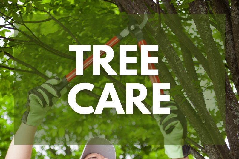 CASTILLO TREE SERVICE - Updated December 2025 - 163 Photos & 82 Reviews ...