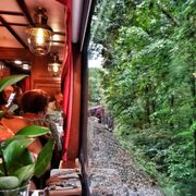 MY OLD KENTUCKY DINNER TRAIN - 156 Photos & 57 Reviews - 602 N 3rd St ...