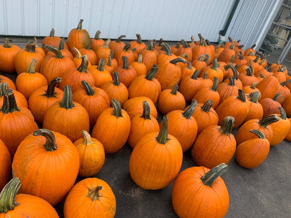 THE GARDEN FACTORY - Updated September 2024 - 180 Photos & 54 Reviews ...