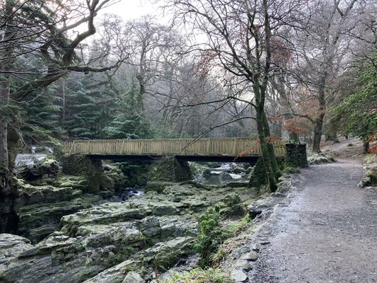 TOLLYMORE FOREST PARK - Updated December 2025 - 76 Photos & 11 Reviews ...