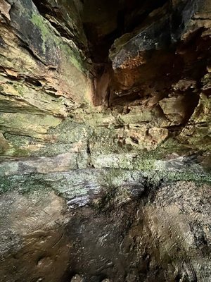 NATURAL BRIDGE PARK - Updated December 2025 - 103 Photos & 26 Reviews ...