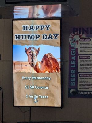 POCKETEER BILLIARDS AND SPORTS BAR - Updated December 2025 - 62 Photos ...