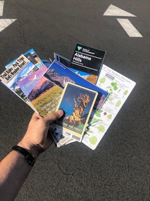 WHITE MOUNTAIN RANGER STATION - Updated September 2025 - 798 Main St ...