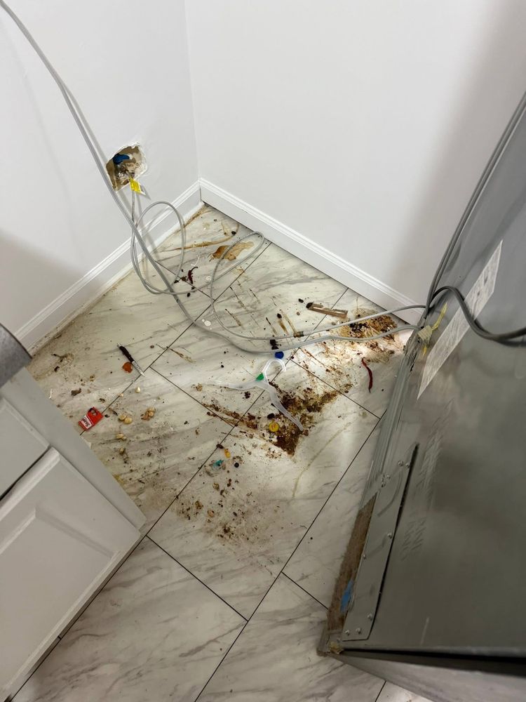 HAILEY COLE-CLEANING - Updated June 2025 - 13 Photos - Calhoun ...