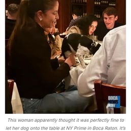 NEW YORK PRIME - Updated December 2025 - 381 Photos & 482 Reviews ...