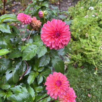 THUYA GARDEN AND LODGE - Updated July 2025 - 37 Photos & 14 Reviews ...