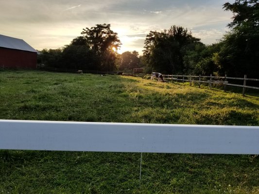 COLLINS CREAMERY - 100 Photos & 141 Reviews - Ice Cream & Frozen Yogurt ...