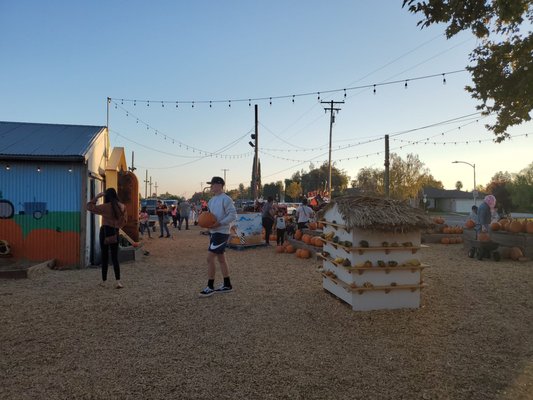 R A M FARMS PUMPKIN PATCH AND CORN MAZE - Updated September 2024 - 61 ...