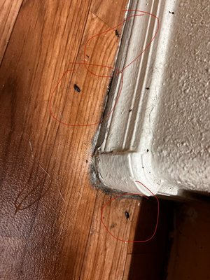 GATEWAY AT TEMPE - Updated July 2025 - 161 Photos & 188 Reviews - 1655 ...