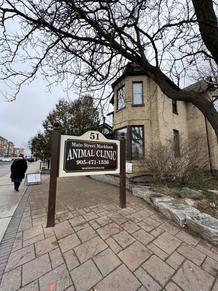 MAIN STREET MARKHAM ANIMAL CLINIC - Updated June 2025 - Request ...