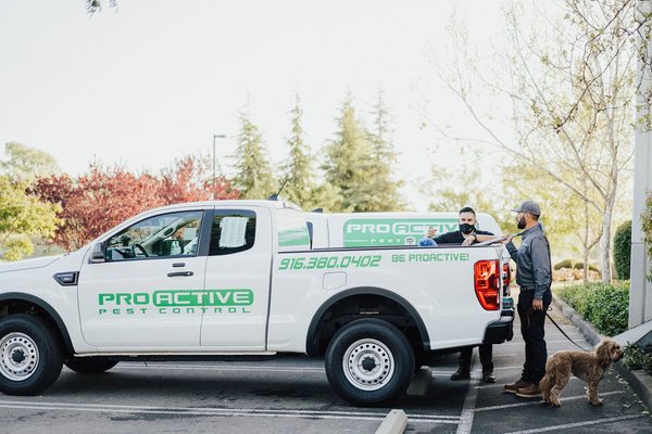 PRO ACTIVE PEST CONTROL - Updated December 2025 - 40 Photos & 459 ...