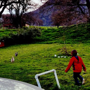 DIABLO VALLEY RANCH - Updated December 2025 - 42 Photos - 11540 Marsh ...