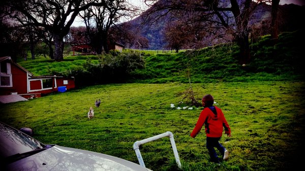 DIABLO VALLEY RANCH - Updated December 2025 - 42 Photos - 11540 Marsh ...