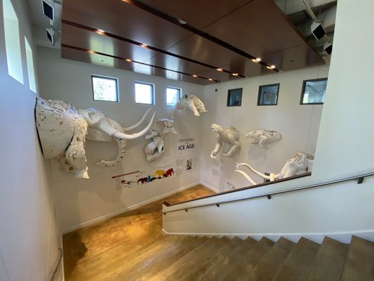 NORTHWEST MUSEUM OF ARTS & CULTURE - 107 Photos & 33 Reviews - 2316 W ...