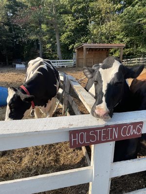 SMILING HILL FARM - Updated December 2025 - 184 Photos & 70 Reviews ...