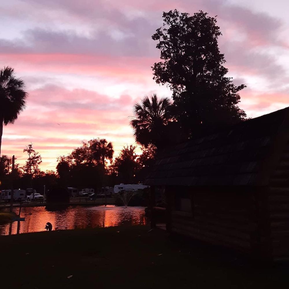 OCALA RV-CAMP RESORT - Updated December 2025 - 47 Photos & 20 Reviews ...