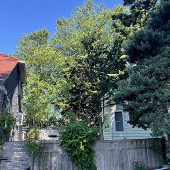 HUBER TREE EXPERT - Updated December 2025 - 114 Photos & 33 Reviews ...