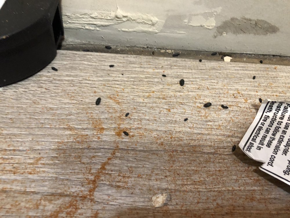 MCKEY & POAGUE - Updated October 2025 - 23 Photos & 15 Reviews - 1348 E ...