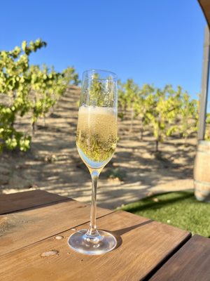 FAZELI CELLARS WINERY - Updated June 2024 - 1348 Photos & 936 Reviews ...