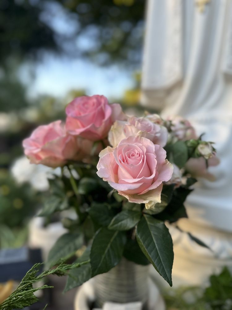 MOUNT ST JOSEPH CARMELITE MONASTERY - 76 Photos - 12455 Clayton Rd, San ...