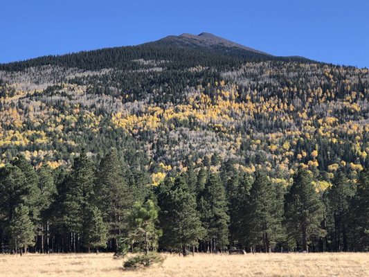 ASPEN NATURE LOOP - 42 Photos & 12 Reviews - Arizona Snowbowl ...