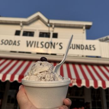 WILSON’S ICE CREAM PARLOR - Updated July 2024 - 178 Photos & 293 ...