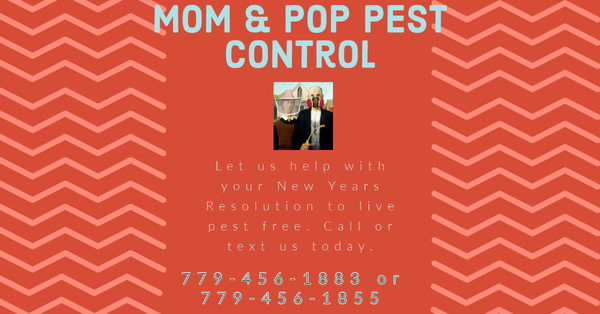 MOM & POP PEST CONTROL SERVICES - Updated May 2025 - 11 Photos & 16 ...