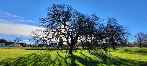 JOHNSON-SPRINGVIEW PARK - Updated October 2025 - 78 Photos & 34 Reviews ...