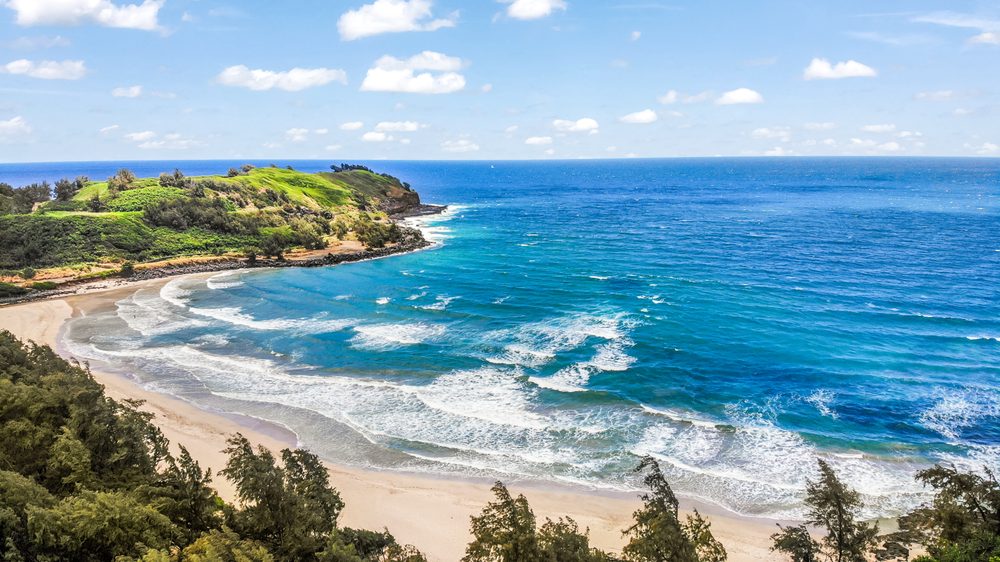 DANIEL’S SKYVIEW - Updated June 2025 - Request a Quote - 30 Photos - Portland, Oregon - Real ...