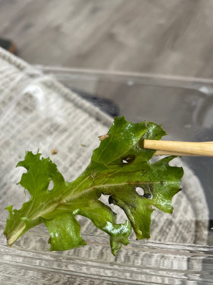 ONE POKE - Updated September 2025 - 538 Photos & 1126 Reviews - 2259 E ...