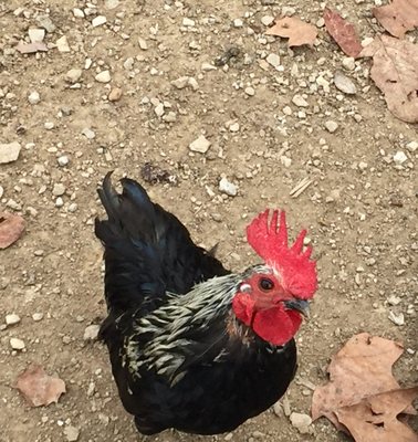 SUSON PARK - Updated October 2025 - 159 Photos & 42 Reviews - 6059 ...