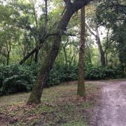 CAMP MARS - 19 Photos & 20 Reviews - Campgrounds - 326 Goff Rd, Venus ...