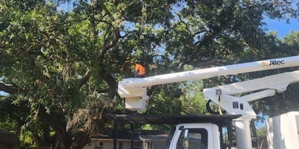 FHG TREE SERVICE - Updated July 2025 - 659 W Lumsden Rd, Brandon ...
