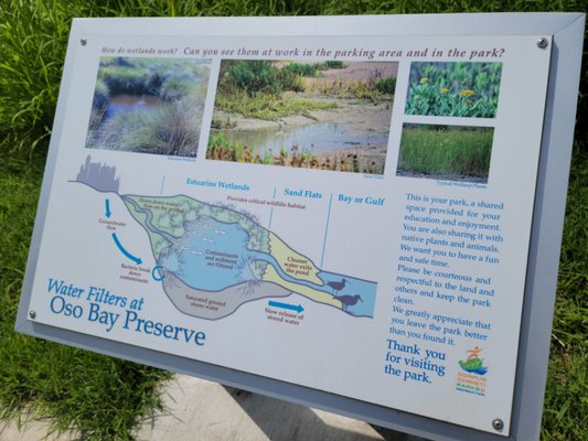 OSO BAY WETLANDS PRESERVE & LEARNING CENTER - Updated May 2025 - 71 ...