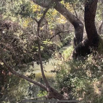 GREEN OAK RANCH - Updated December 2025 - 30 Photos & 15 Reviews - 1237 ...