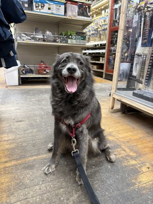CLARK DEVON HARDWARE - Updated June 2026 - 33 Photos & 256 Reviews ...