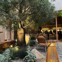 LILO - Updated July 2025 - 219 Photos & 27 Reviews - 2571 Roosevelt St ...