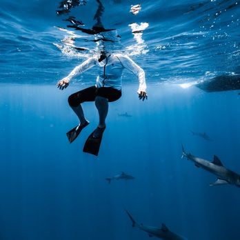 DEEP BLUE ECO TOURS - Updated December 2025 - 67 Photos & 15 Reviews ...